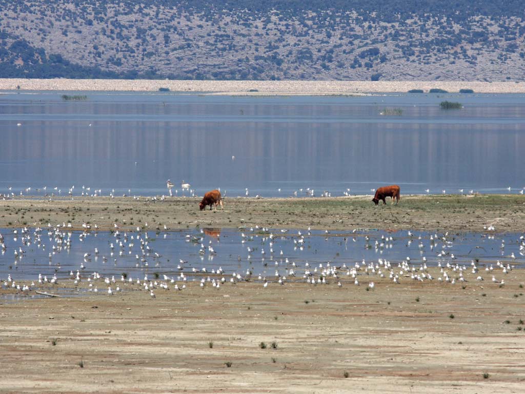 Lake Karla – Ecotourism Greece